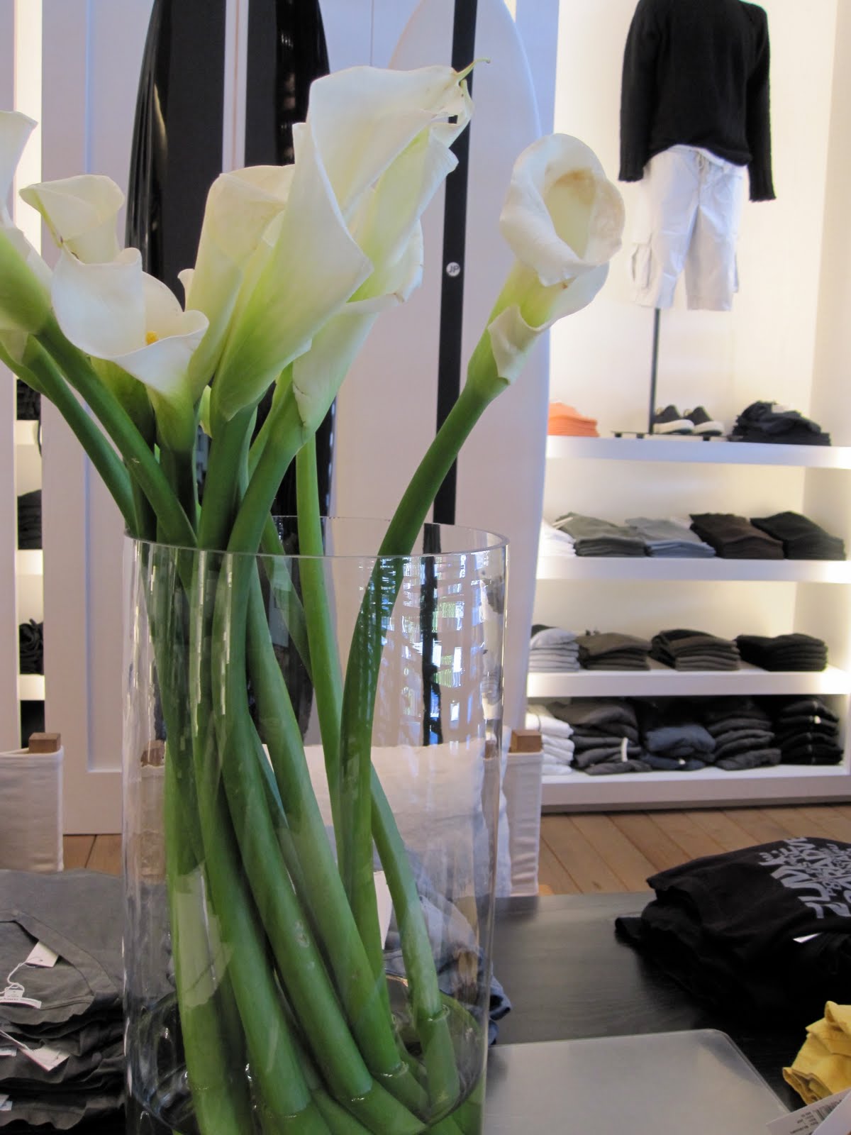 Joe Ruggiero Designer/ HGTV Host: James Perse Shop, Malibu