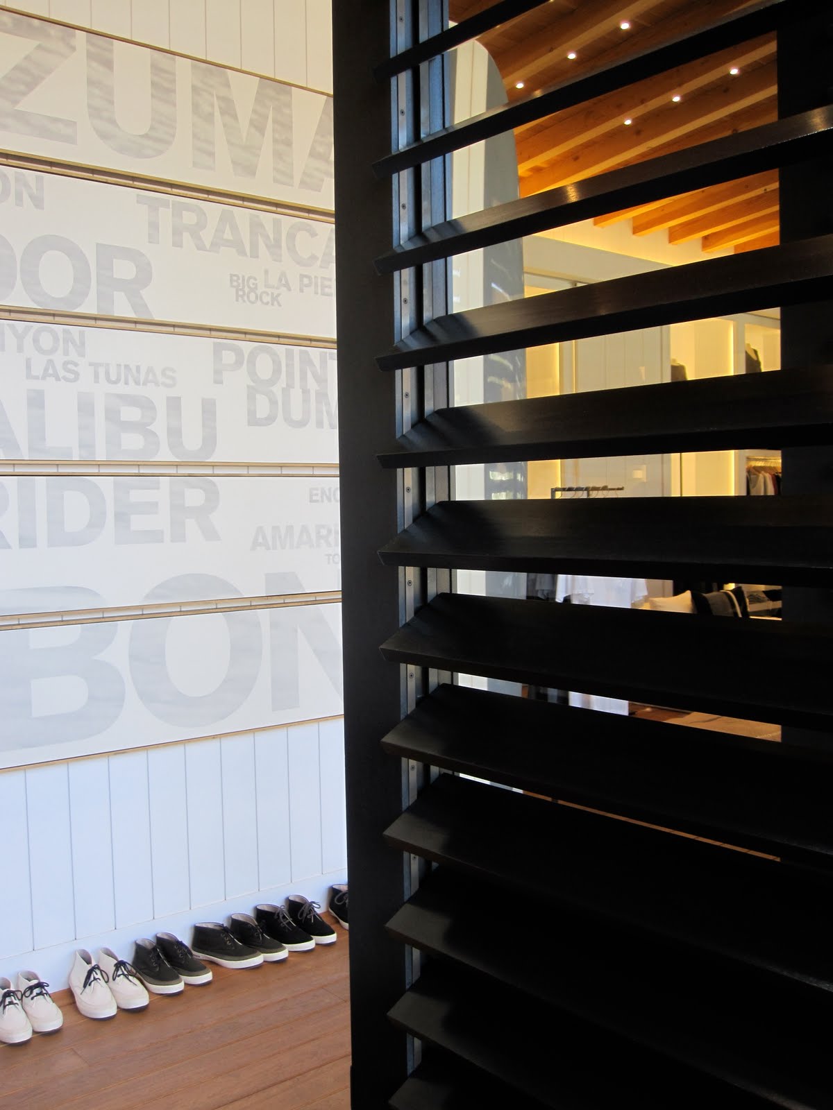 Joe Ruggiero Designer/ HGTV Host: James Perse Shop, Malibu