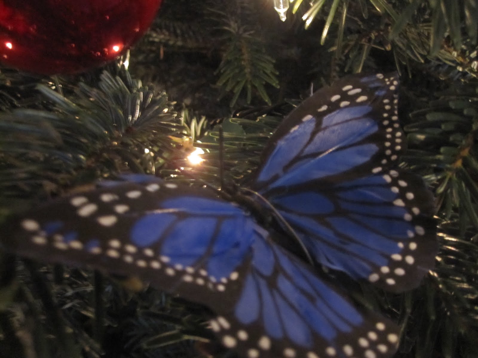 Joe Ruggiero Designer/ HGTV Host: Christmas Tree for the Birds ...
