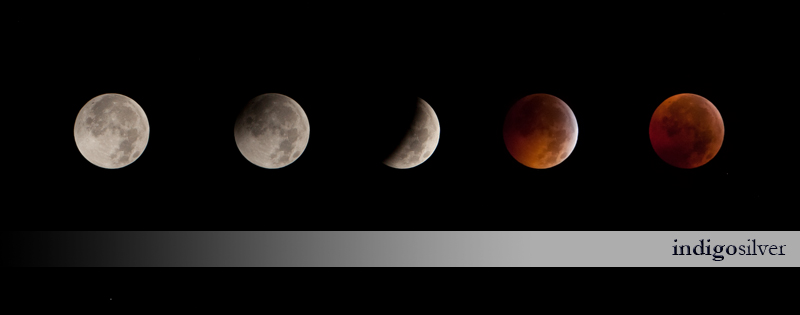 Total Lunar Eclipse on Winter Solstice | Wilmington NC Photography ...