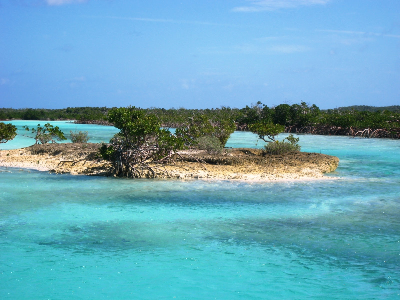 "Kaos" Caribbean Kapers: The Exumas, Allens Cay to Shroud Cay