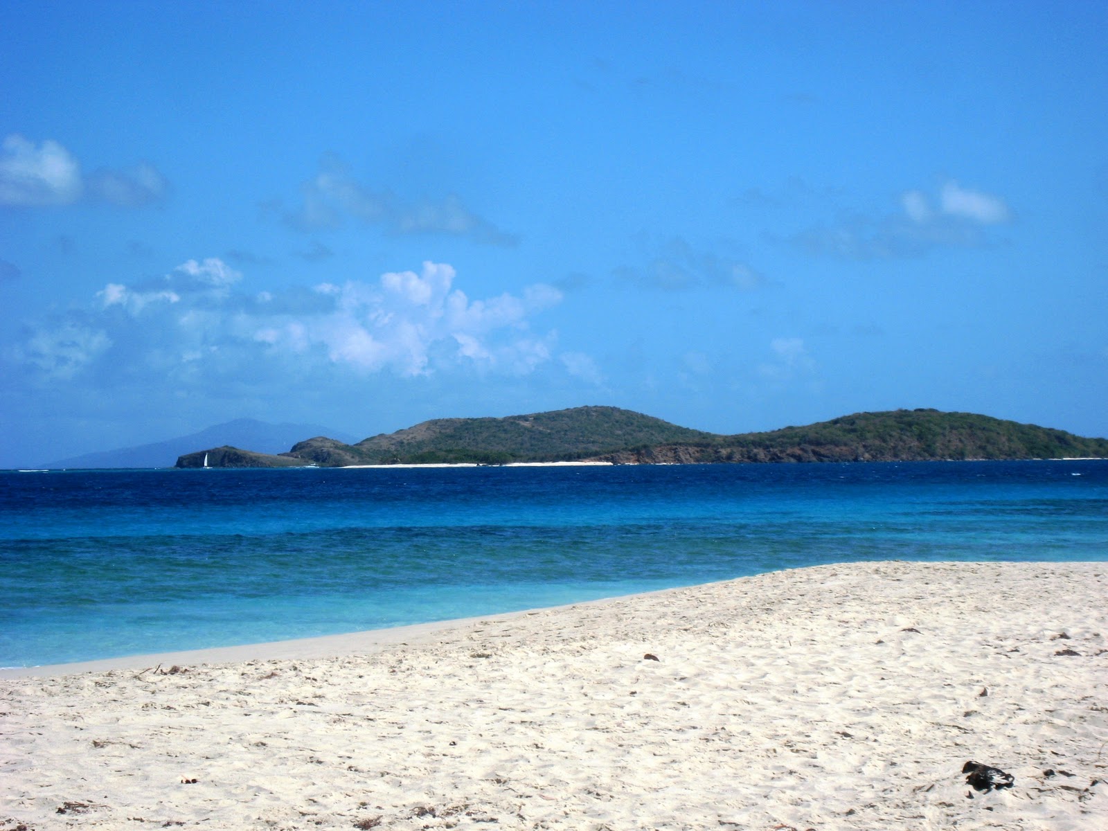 "Kaos" Caribbean Kapers: Isla Culebra & Vieques, Puerto Rico