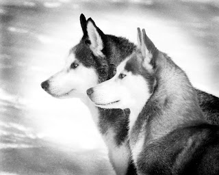 Mike Cihak's Blog on Everything: Hobie and Maya