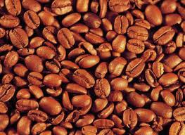 FISIOLOGIA VEGETAL: LA SEMILLA