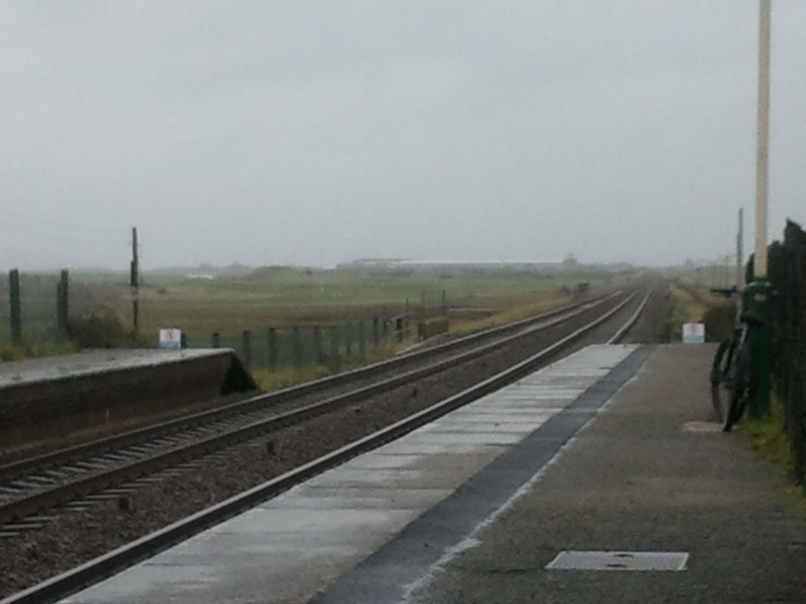 Zac Hinchcliffe's Birding Blog: That Bloody Ibis! - Anglesey - 21-23rd ...