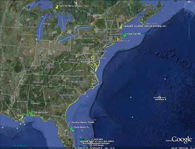Larusology: The Appledore Gull and the Expansion of Lesser Black-backed ...