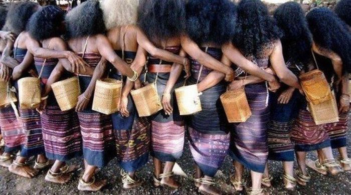 Real Life Patterns | LOL PICTURE GALLERY