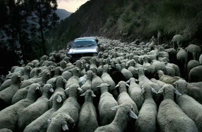 Real Life Patterns | LOL PICTURE GALLERY