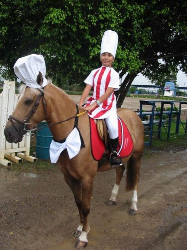 Amusing Pics: horse fancy dress