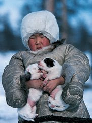 The Dolgan Indigenous Peoples and Oil and Gas Development in Russia ...