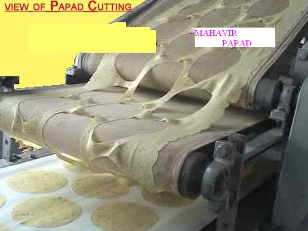 MAHAVIR PAPAD GRUH UDYOG