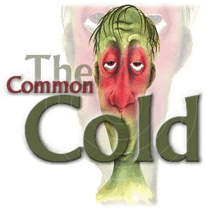 Diary of a NJ Chiropractor: Fighting colds naturally - Dr. Charschan's ...