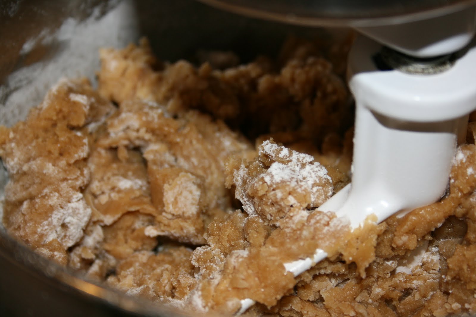 Peanut Butter Coconut Chipsters