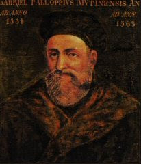 Guitarra de Coimbra (Parte I): 08-04-2007 - 15-04-2007