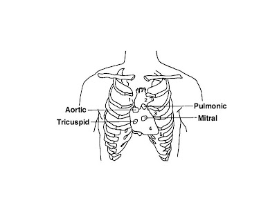 Angelite Nurses: CARDIOVASCULAR SYSTEM