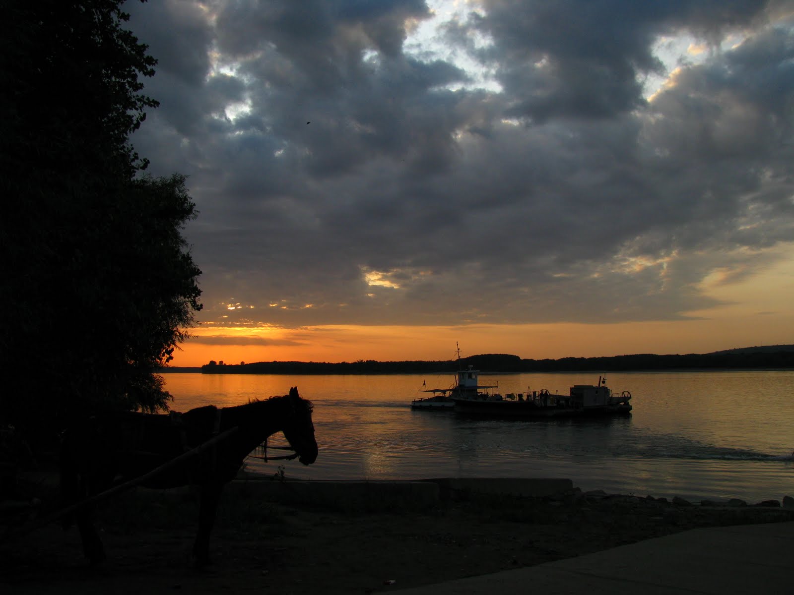 (c)Photography beyond words,poze,fotografii,photo from Romania: Dunarea ...
