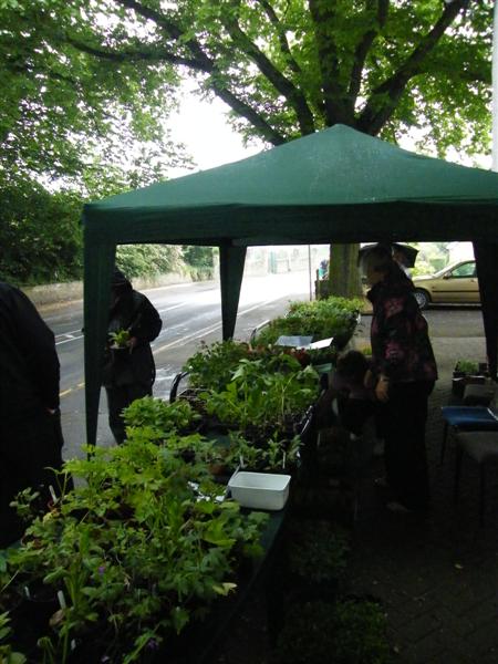 Snappy's Gardens Blog: Walton Plant Stall 2010