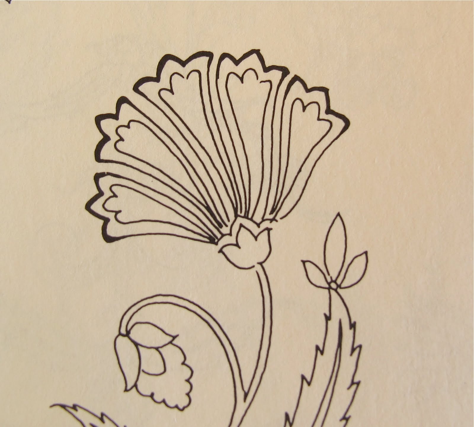 singleB: Motifs
