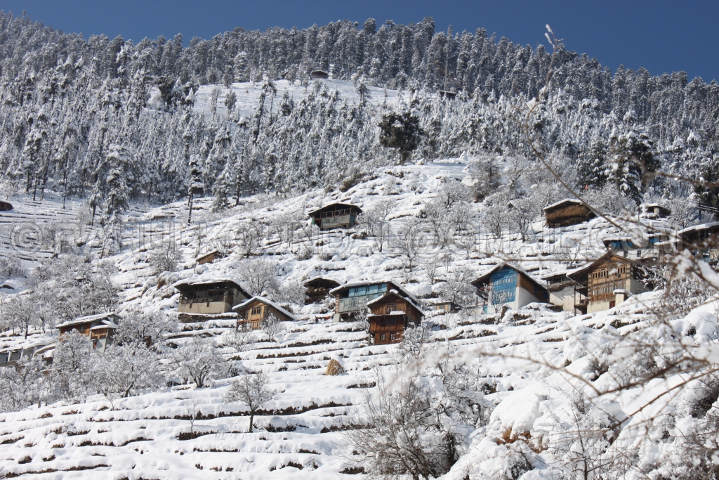 My world my life !!: I wished for it and it happened..Heavy Snowfall In ...