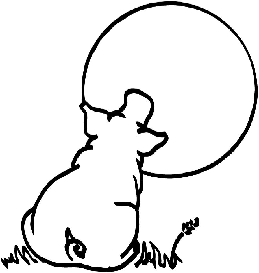 archy: Don't touch the Howling Pig