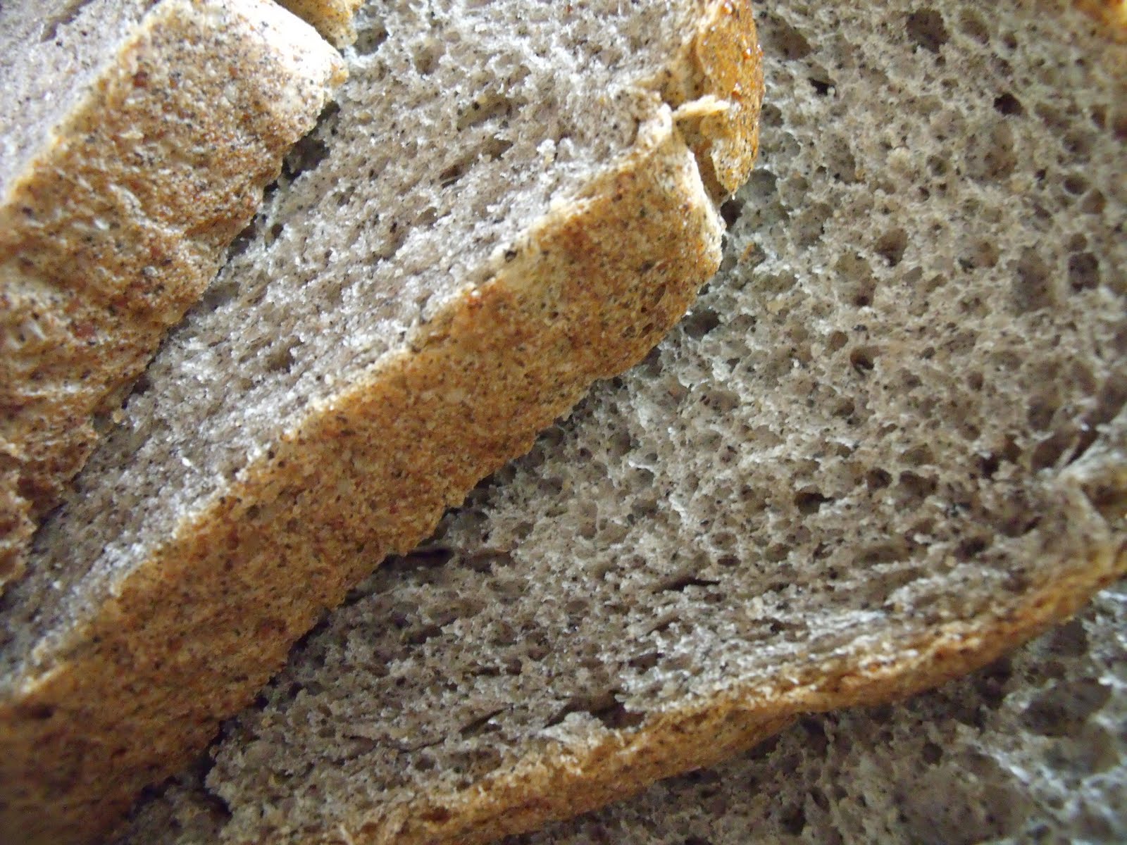 Black Bread ~ helianthus