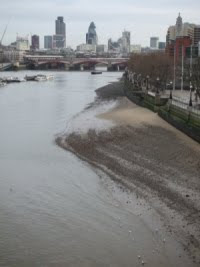 DESIGN WITH NATURE: Case Study of River Restoration