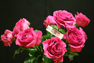 A. Perri Farms Exclusive Garden Rose Collection: Shalimar