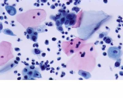 RBMC OB&GYN SUPPLEMENTAL INFO