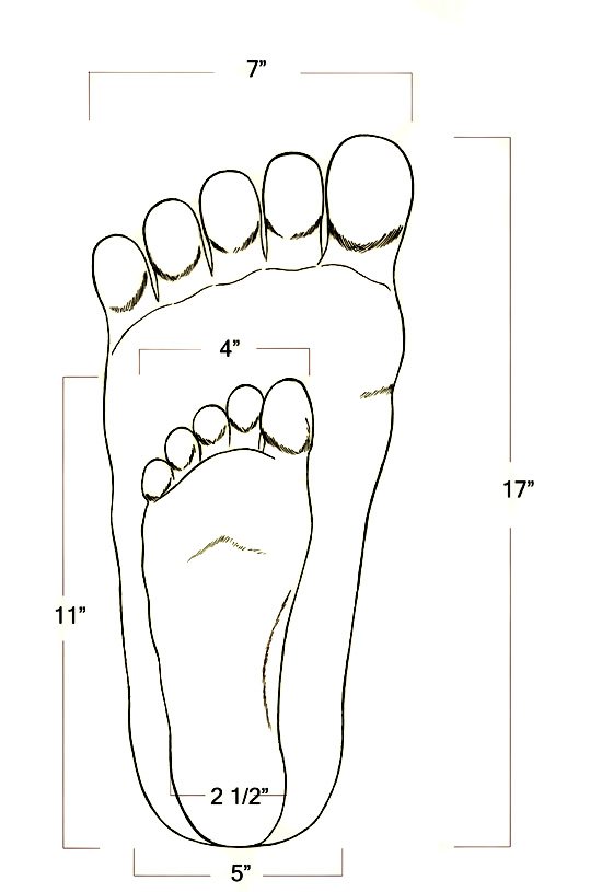Bigfoot : Footprint