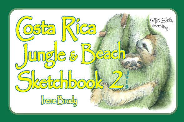 Nature Drawing and Journaling Trips : Costa Rica Jungle & Beach ...