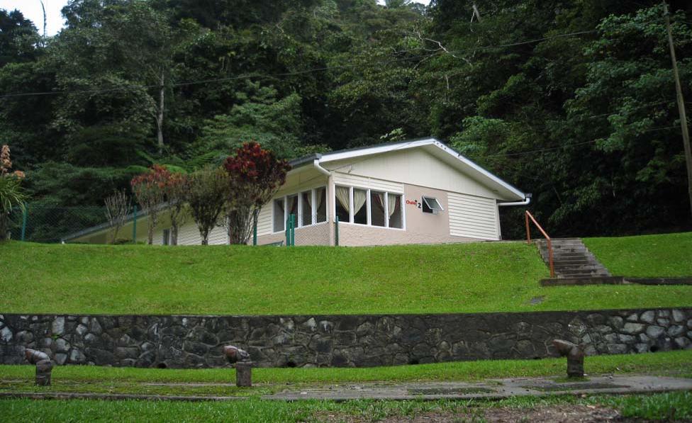 Evolve: Sneak Peek of the camp site - CHEFOO