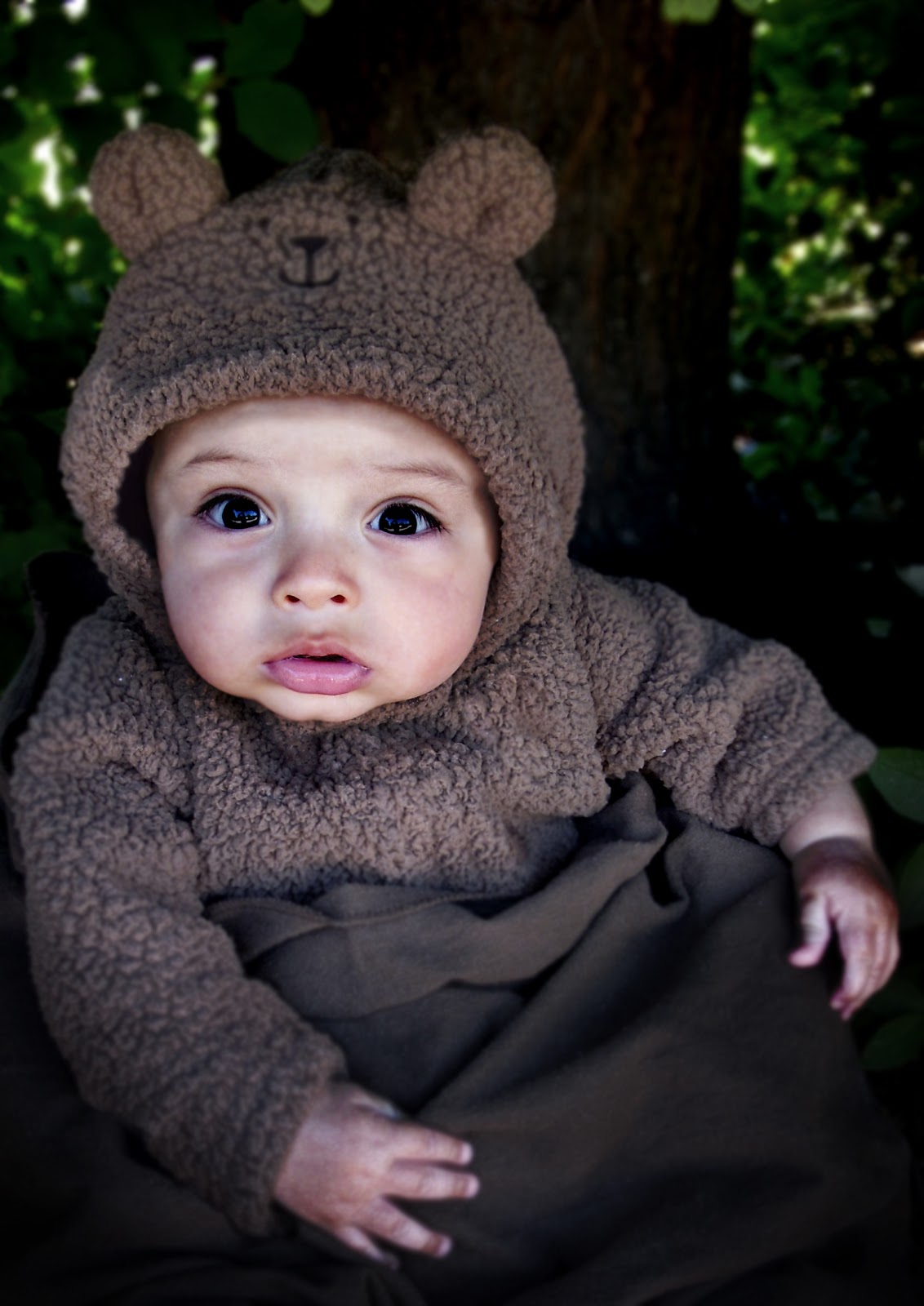 The Cudger Chronicles: Baby Bear in the Forest