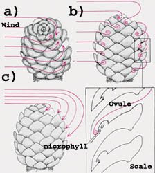 r0Zyzzz: Aerodynamic cones