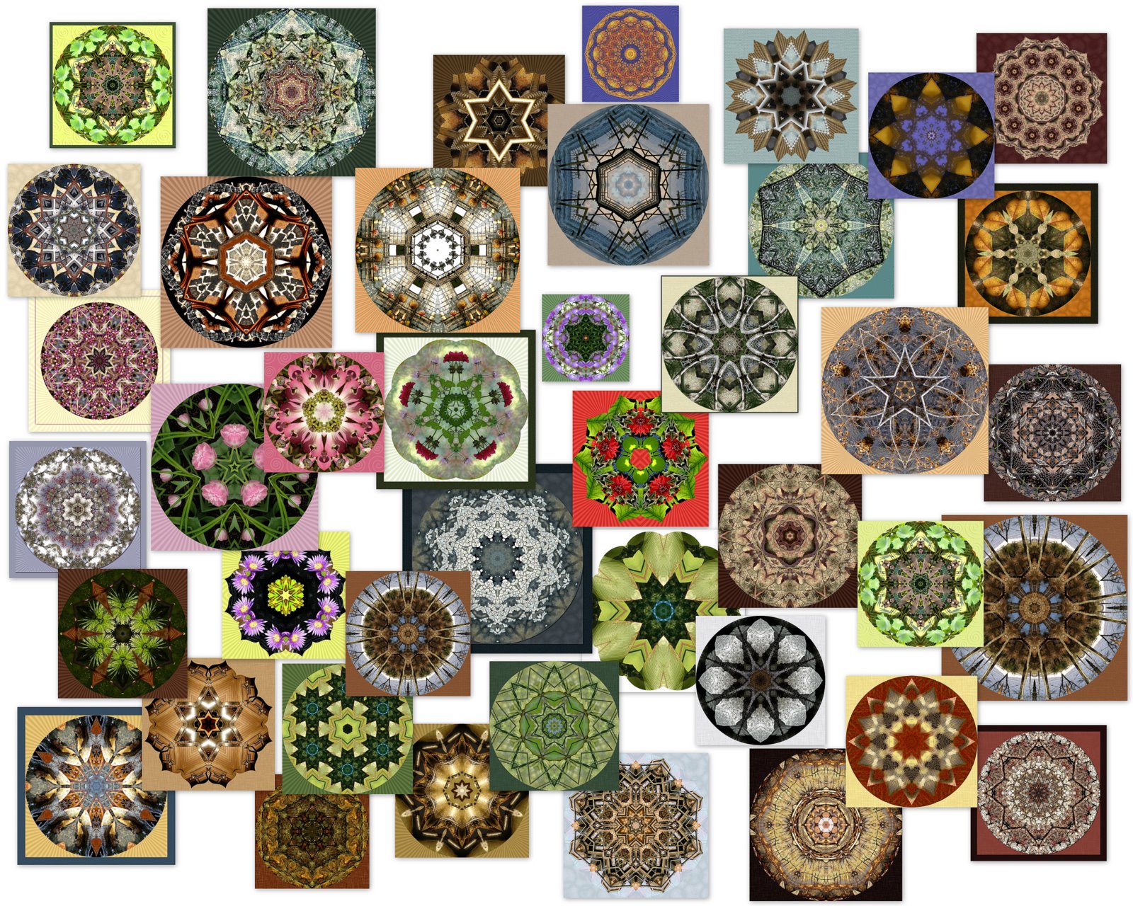 Morning Light Photography: Collage samples in Picasa