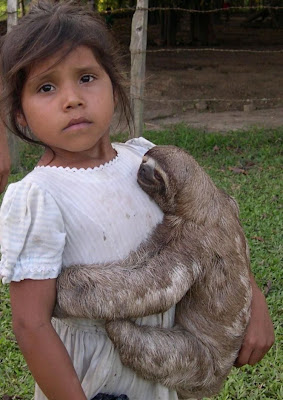 Ugly Overload: A Sloth's Embrace
