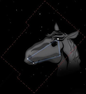 A LA DECOUVERTE DES ETOILES: CONSTELLATION DU PETIT CHEVAL