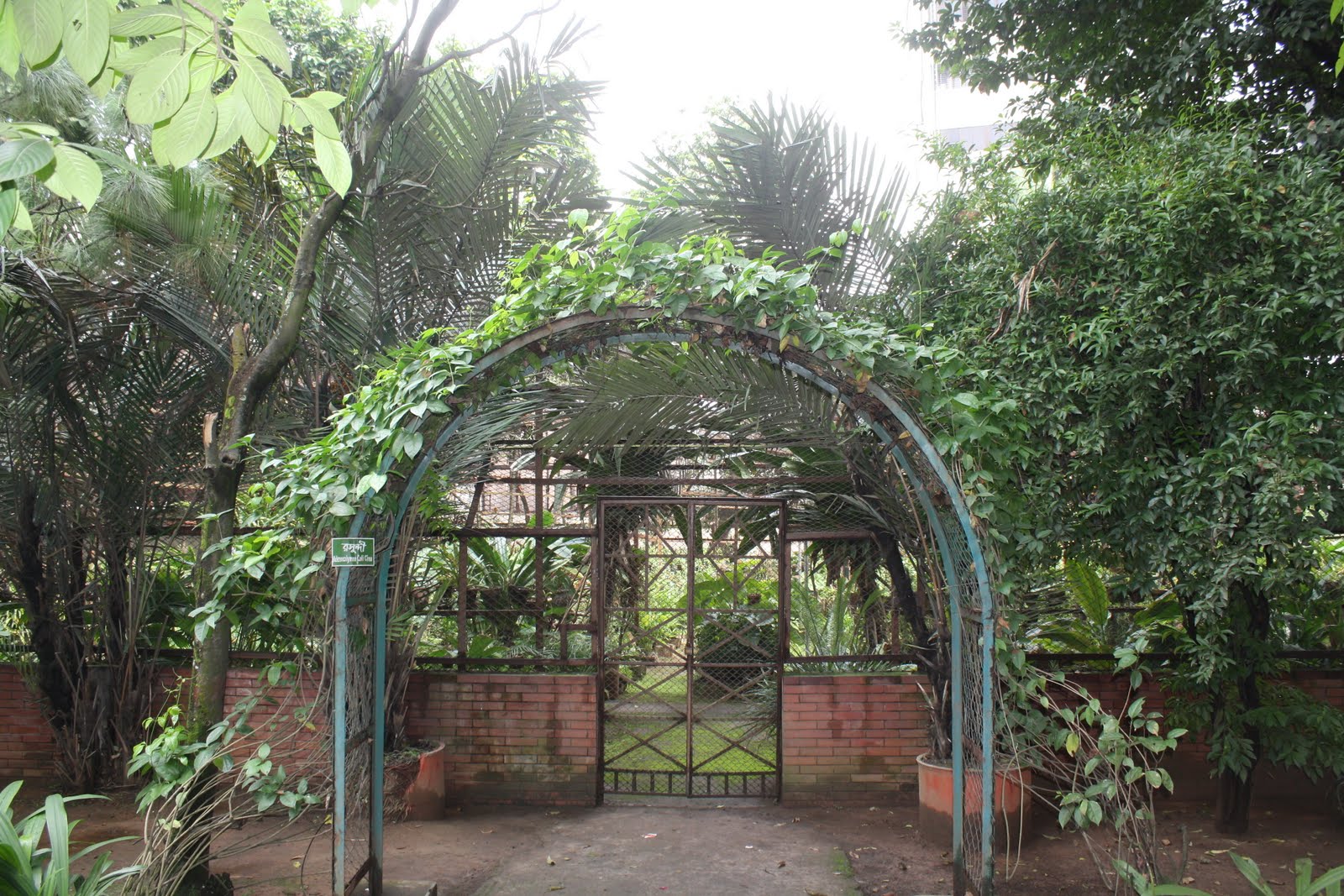 banglacissi: Balda Garden, Dhaka