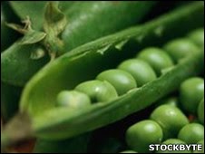 CHIMI NOTICIAS: Crece planta de arvejas en los pulmones de un ...