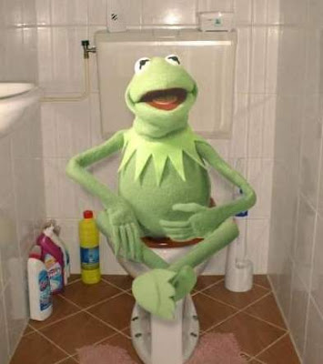 Favorite Hunks & Other Things: Favorite St. Paddy's Day Hunk Kermit the ...