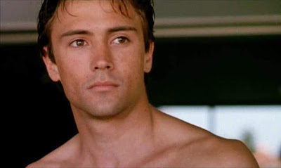 Favorite Hunks & Other Things: Nick Carpenter in 'The Visitor'