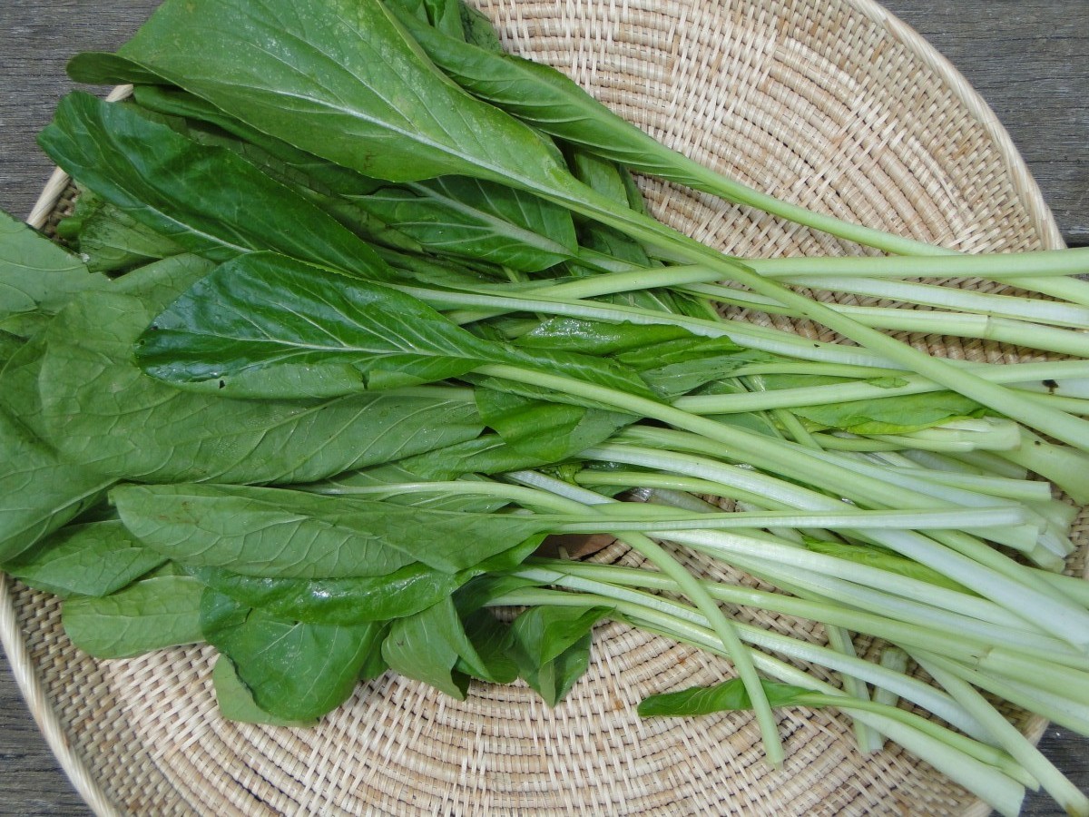 Ici et Ailleurs: Les brèdes