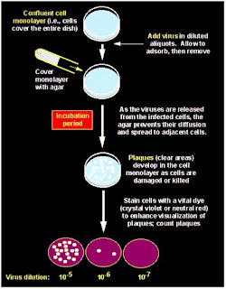 Virology