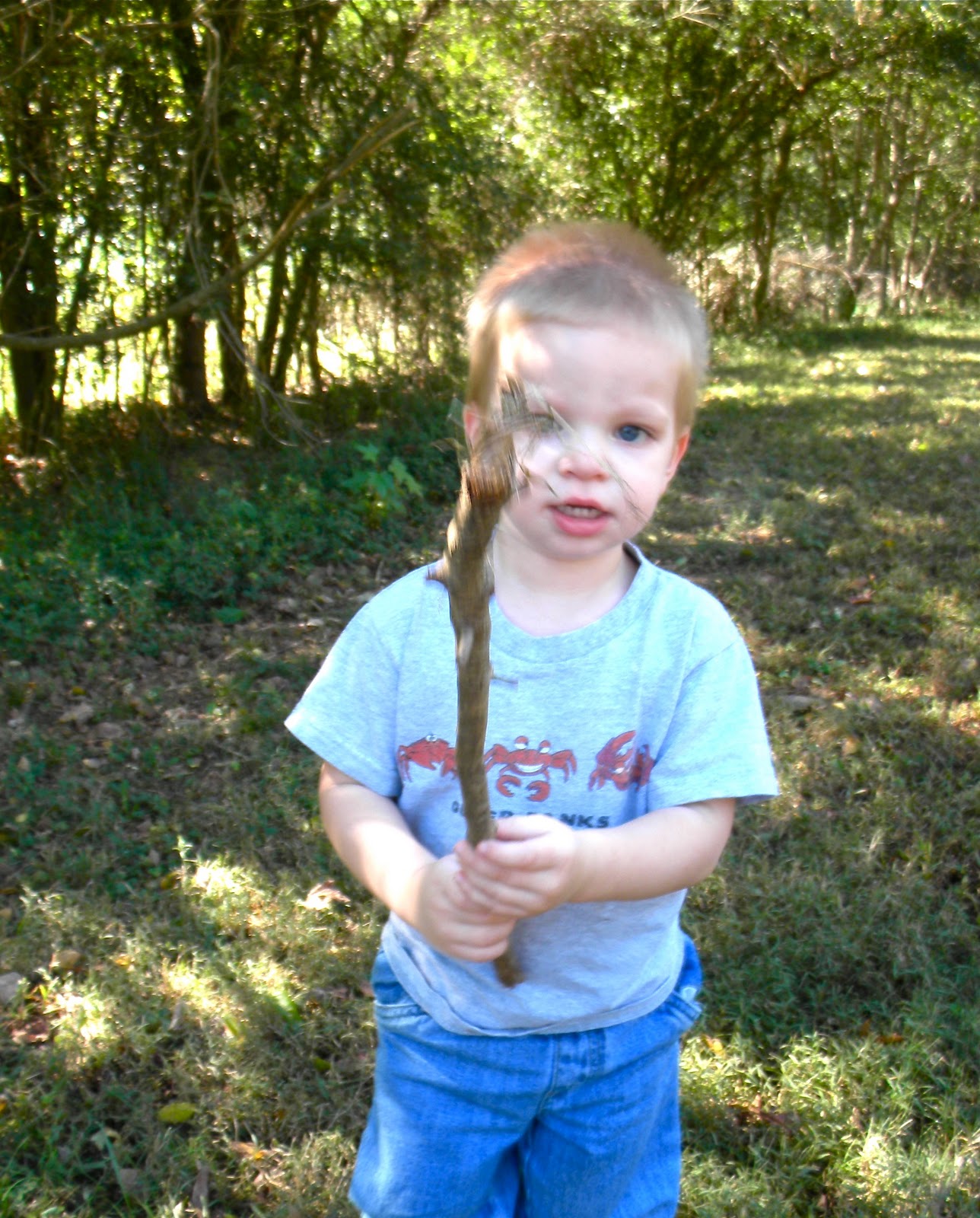 IKE & CO {the blog}: A Boy and His Stick
