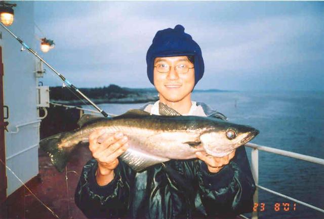 Artes de Pesca: VAMOS A PESCAR FOGONERO