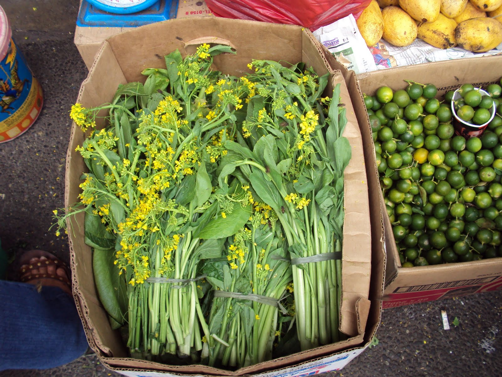 A Place called Kayang Street,Baguio City