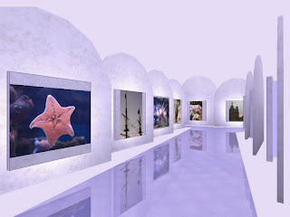 3d Digital Album: 3D Album Platinum PicturePro 3.4- Crea álbumes en ...