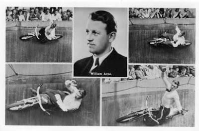 Stuffed Beaver: The Early Death of Defying