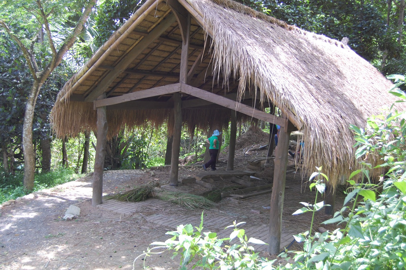 adventures in sustainability: Making Cogon Grass Roofing
