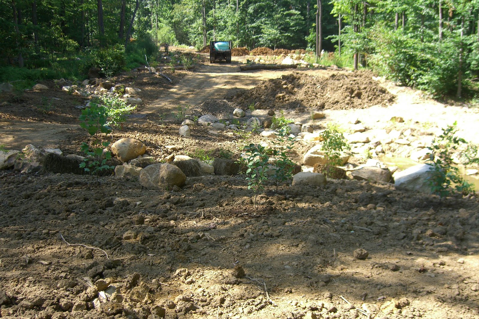 The Land Conservancy of N.J.: Update on the South Branch Preserve ...