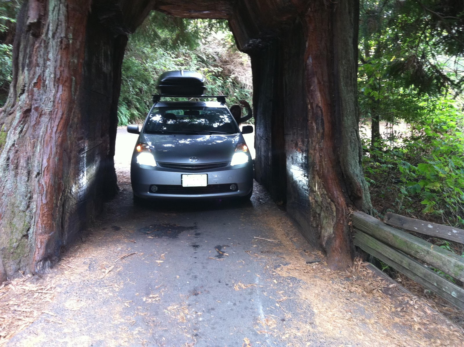 Seeking Shama: Serendipity on the Road: Mount Hood, Oregon